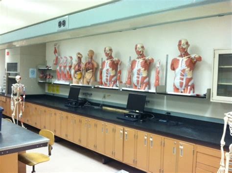 A P Lab 1 York College City University Of New York York College