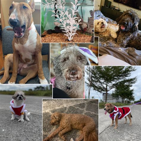 Jaci Hoffman Posted On Linkedin