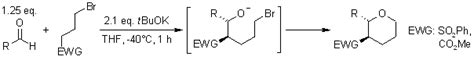Tetrahydropyran Synthesis