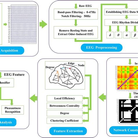 The Analysis Process Of Olfactory Eeg Download Scientific Diagram