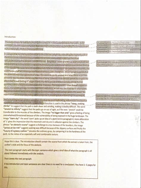 Language Analysis Sample 1 Pdf