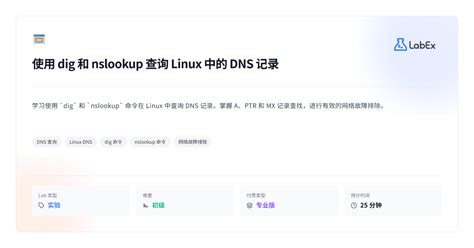 Linux Dns 查询：使用 Dig 和 Nslookup 查找 A Ptr Mx 记录 Labex