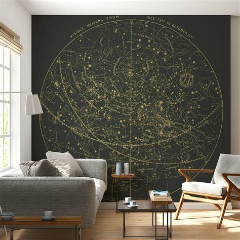 Visible Heavens Dark Aster Wallpaper Buy Online At Happywall