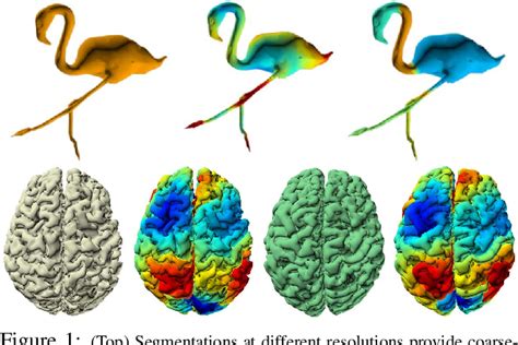 figure 1 from multi resolution shape analysis via non euclidean