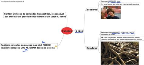 Mapas Mentais Para Concursos De Ti Sql Server 2008 Módulo 2