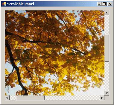 Windows Controls The Panel