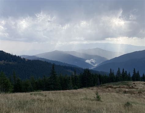 Cristina Antonescu On Linkedin Opentowork Netherlands Relocate Work Opportunities