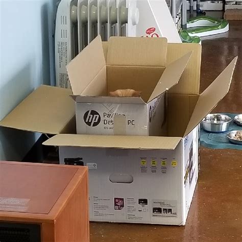 Camp Kitty Camp Kitty Added A New Photo