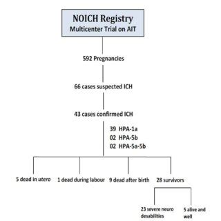 Algorithm Of A F NAIT Diagnosis Protocol 20 Testing For Human Download Scientific Diagram