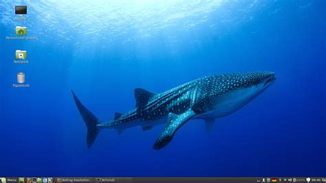 Linux Mint 16 Iso Cinnamon Iso Download Bidspdf