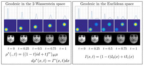 transport and other lagrangian transforms