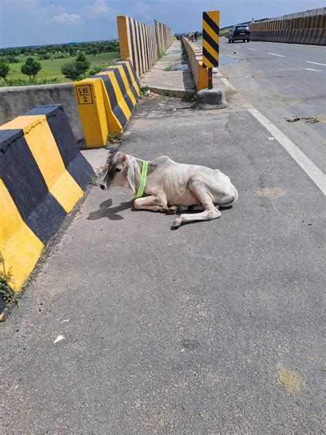Firoz Khan On Linkedin Today We Have Organized Road Safety Awareness Program At Various Places Of