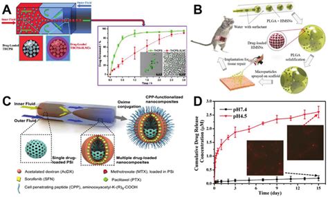 Microfluidics Synthesis Of Silica Based Biomaterials For Drug Delivery Download Scientific