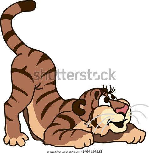 Tiger Ass Over 38 Royalty Free Licensable Stock Illustrations