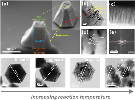 Iron Assisted Growth Of Anisotropic Zno Nanostructures Chemical Science Rsc Publishing Doi