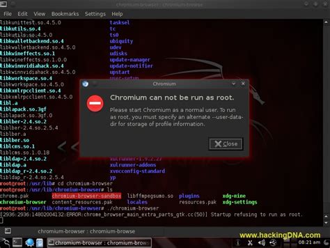 hackingdna how to install chromium browser on backtrack 5