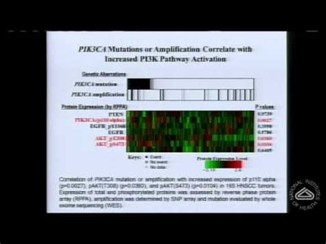 Targeting Oncogenic Pathways In Head And Neck Cancer YouTube