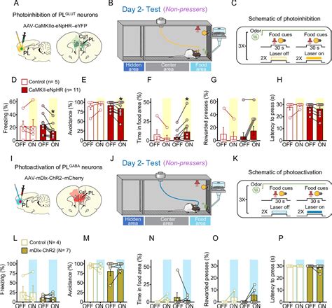 Figures And Data In Neural Correlates And Determinants Of Approach