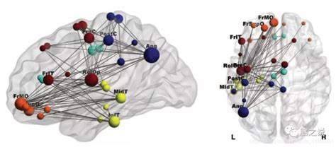 Eeg溯源分析：首发精神分裂患者γ频段功能连接的增强 知乎