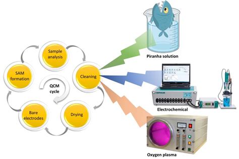 Article Mdpi Qcm Biochemical Plasma Biosensors Sensors Openaccess Abstract Biosensors