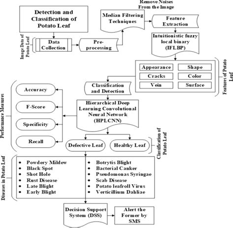 Basic Flow Diagram Of Proposed Methodology Download Scientific Diagram