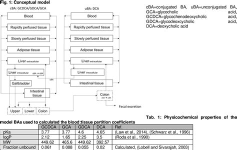 Figure 1 From Intestinal In Vitro Transport Assay Combined With