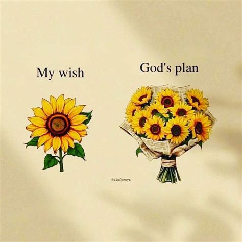 Gods Plan A Perfect Experience My Wish And Gods Plan Happiness