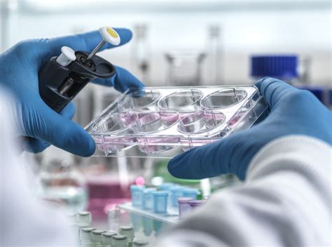 High Throughput Cell Line Development