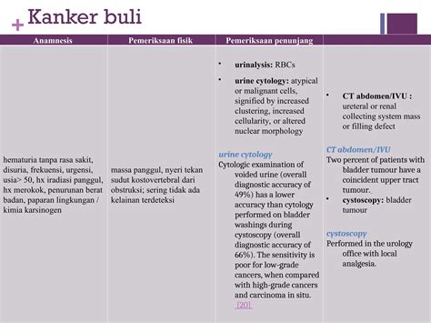 Ppt Hematuria Dan Gejala Dan Diffrent Diagnosis Ppt