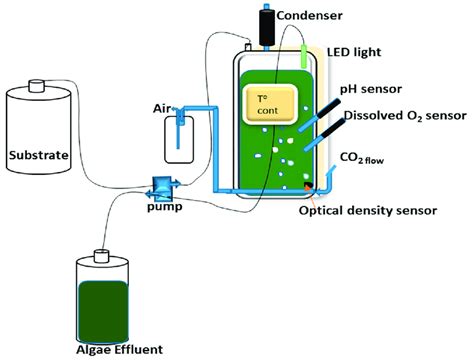 Schematic Experimental Set Up Of The Chemostat Download Scientific Diagram