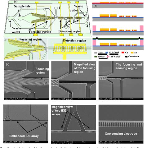 Figure 1 From A Microfluidic Biosensor For Rapid Simultaneous Detection Of Waterborne Pathogens