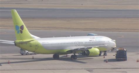 제주행 진에어 엔진에 새 빨려들어 회항 오늘 6편 결항