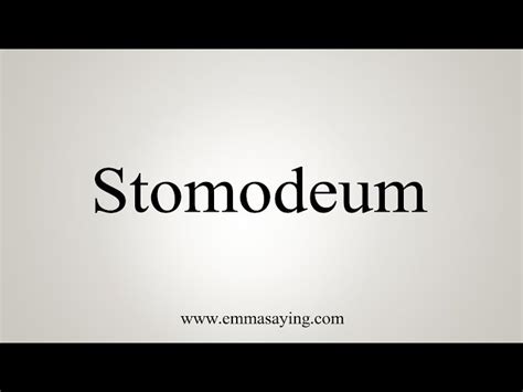 Stomodeum
