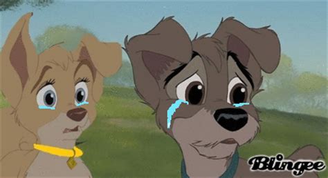 Scamp And Angel Upset Picture Blingee Com