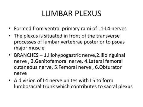 Anatomy Of Lower Limb Blocks Pptx