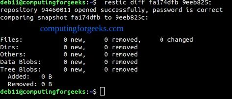 Backup Linux System To Minio S3 And Sftp Using Restic Computingforgeeks