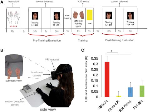Figure 3 From Neural Network Underlyin G Intermanual Skill Transfer In Humans Graphical