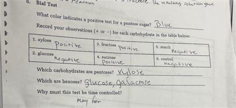 6 Bial Test What Color Indicates A Positive Test For