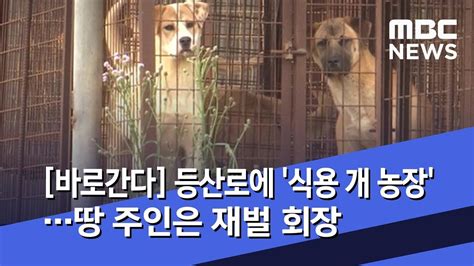 바로간다 등산로에 식용 개 농장땅 주인은 재벌 회장 20200601뉴스데스크mbc Youtube