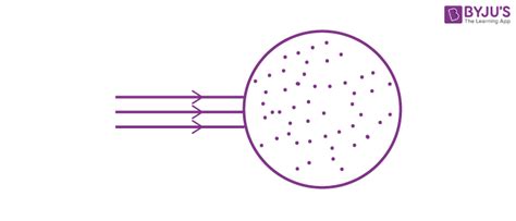 JEE Main June Shift Physics Question Paper With Solutions