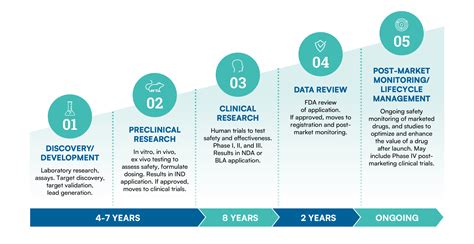 Clinical Drug Development Process Global Cro Bioagilytix