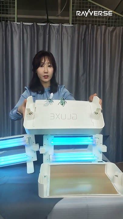 해충들이 꼴까닥 하는 강력한 끈끈이 날파리 제거하는 법 Youtube