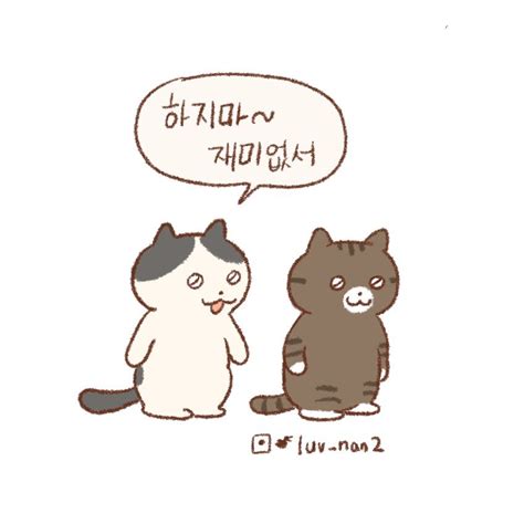「난 싸움짱이 될거야 」난🐱の漫画