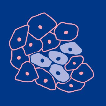 Deciphering The Crosstalk Between Tumor Cells And Their Microenvironment From Molecular Aspects