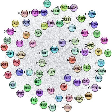 The Top 72 Genes That Further Analyzed With The McODe Analysis Tool Download Scientific