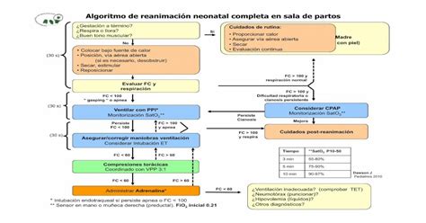 Algoritmo de reanimación neonatal completa en sala de Algoritmo de reanimación neonatal