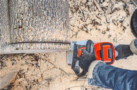 Chainsaw Close Up Of A Lumberjack Sawing A Large Rough Tree Lying On The Ground Sawdust Flying