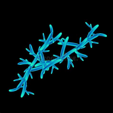 Pathogenic Yeast Fungus Cryptococcus Neoformans Stock Illustration