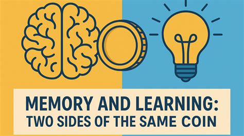 Memory And Learning Two Sides Of The Same Coin A Self Evolving Quantum Scientist Experiment