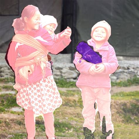 Pretraining Dinov2 For Semantic Segmentation